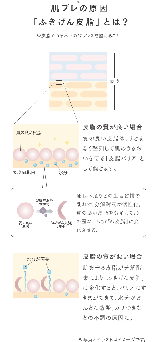 皮脂テカさんに朗報。ファンケル「toiro(トイロ)」が良かったので使用感レビュー | りとまるの美容探求ラボ
